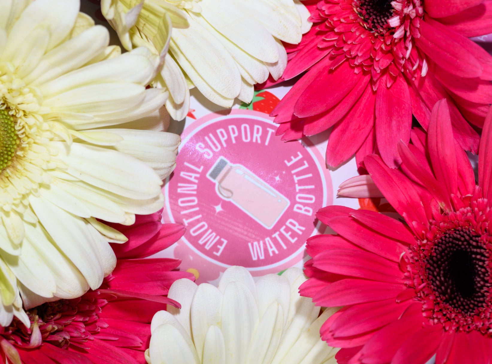 Collections – Friday Feeling